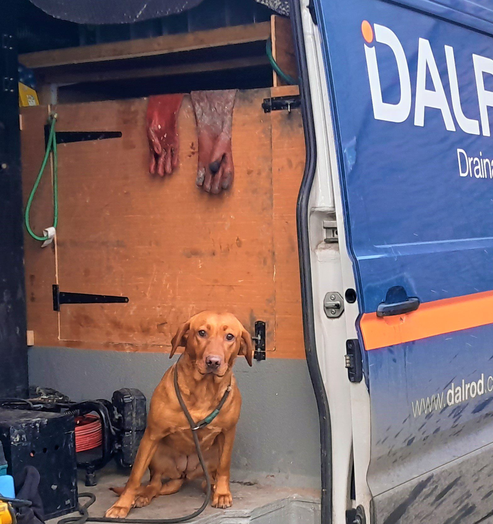 BATH & SWINDON UPDATE ON THEIR 4 LEGGED EMPLOYEE