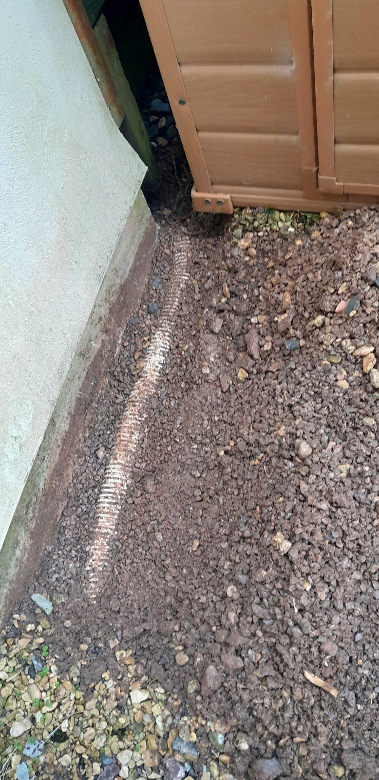 RATS IN YOUR DRAINS? IT'S QUITE COMMON! - DALROD