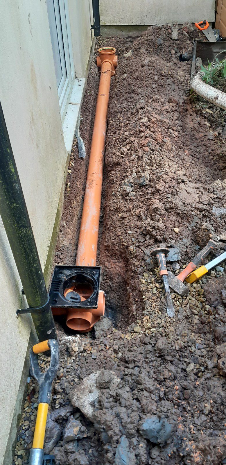 RATS IN YOUR DRAINS? IT'S QUITE COMMON! - DALROD